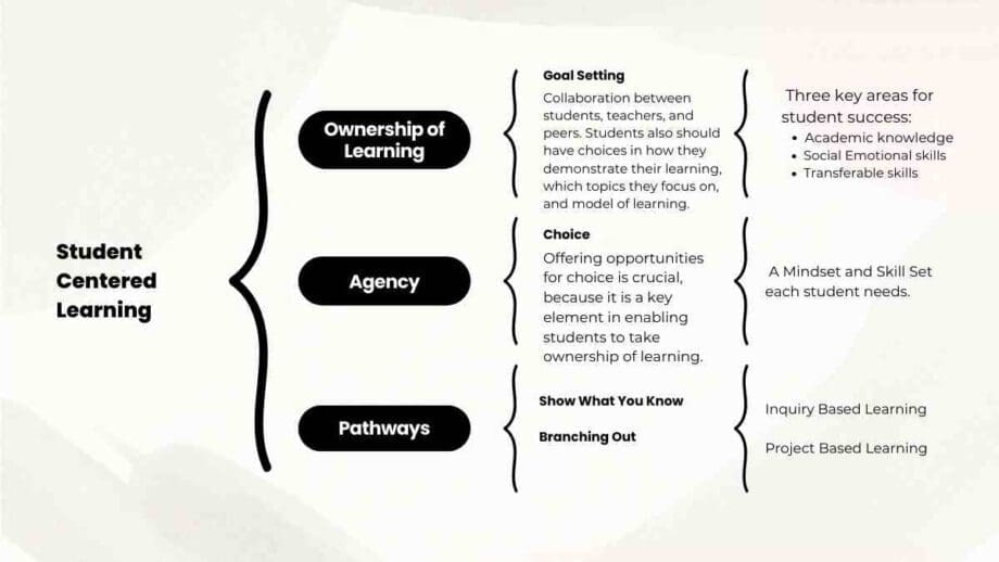 Teacher Clarity | Learner needs to understand how they learn to have ...
